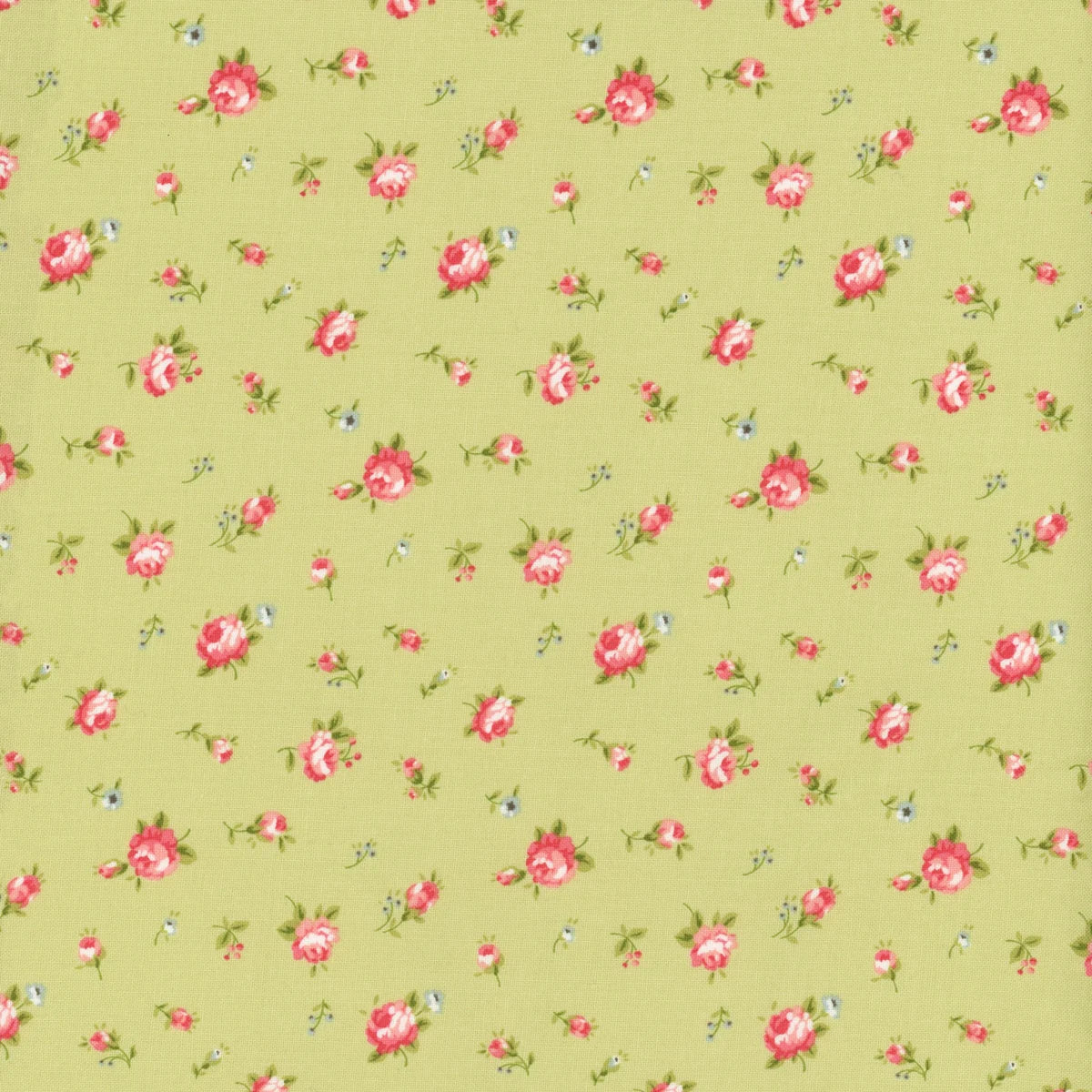 Ellie Green 18761 14 by Brenda Riddle for Moda Fabrics — Flash Sew & Quilt