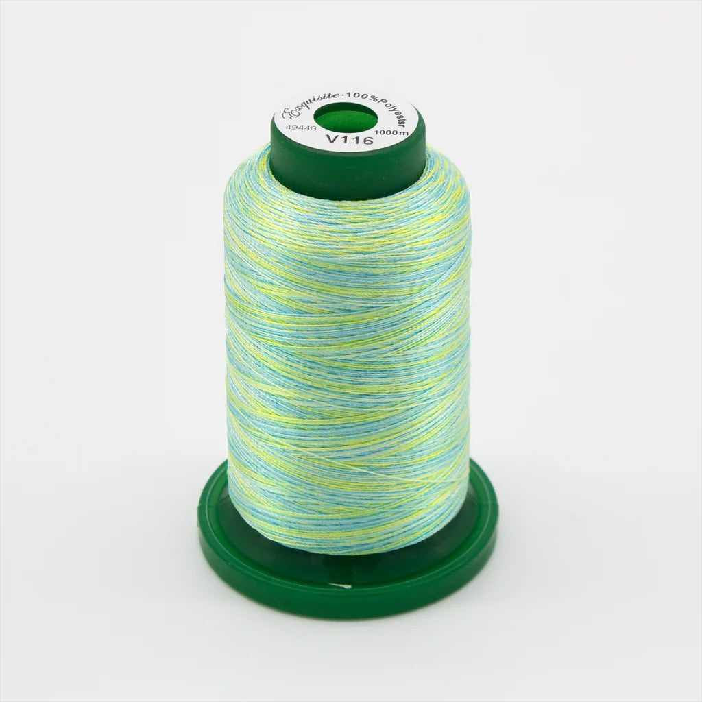 Exquisite Threads || Flash Sew & Quilt